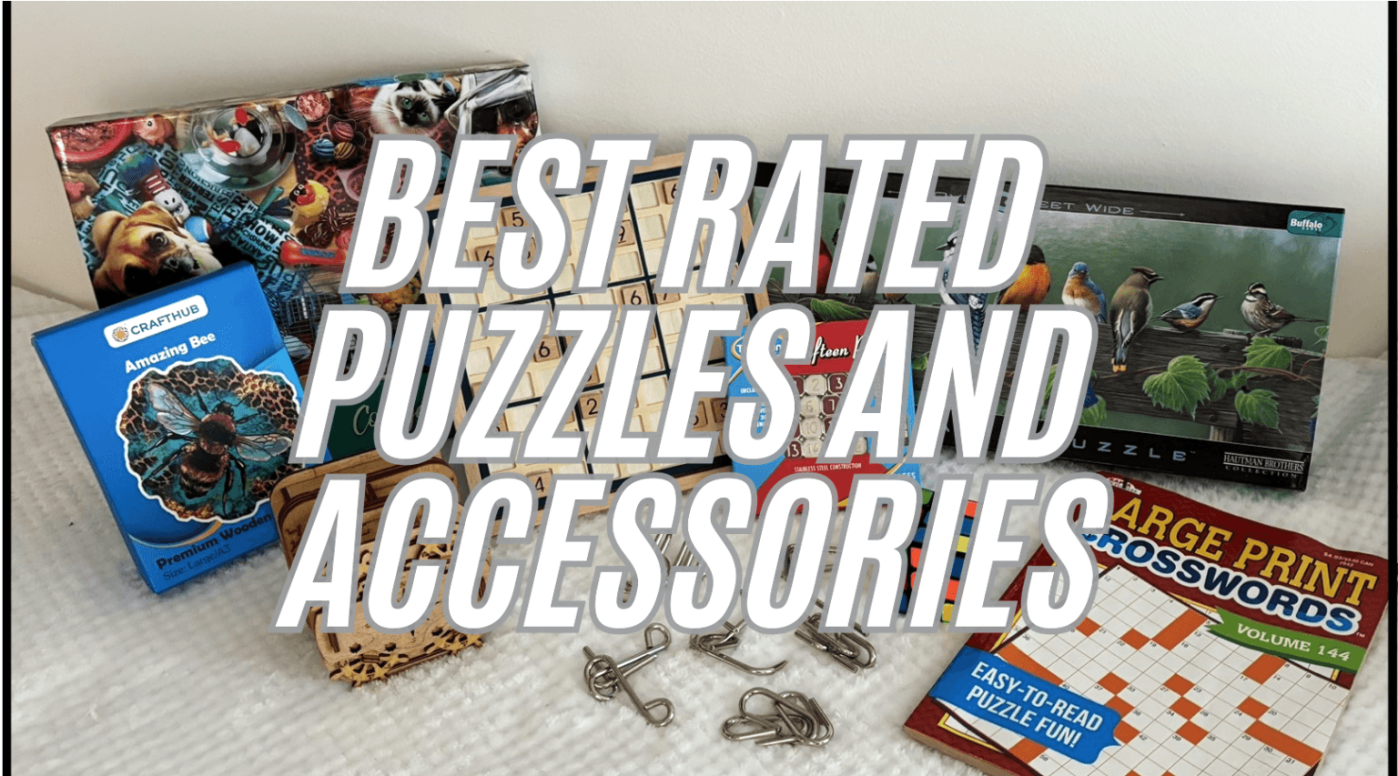 Hanayama Brain Teaser Puzzles - Puzzle Solver Pro